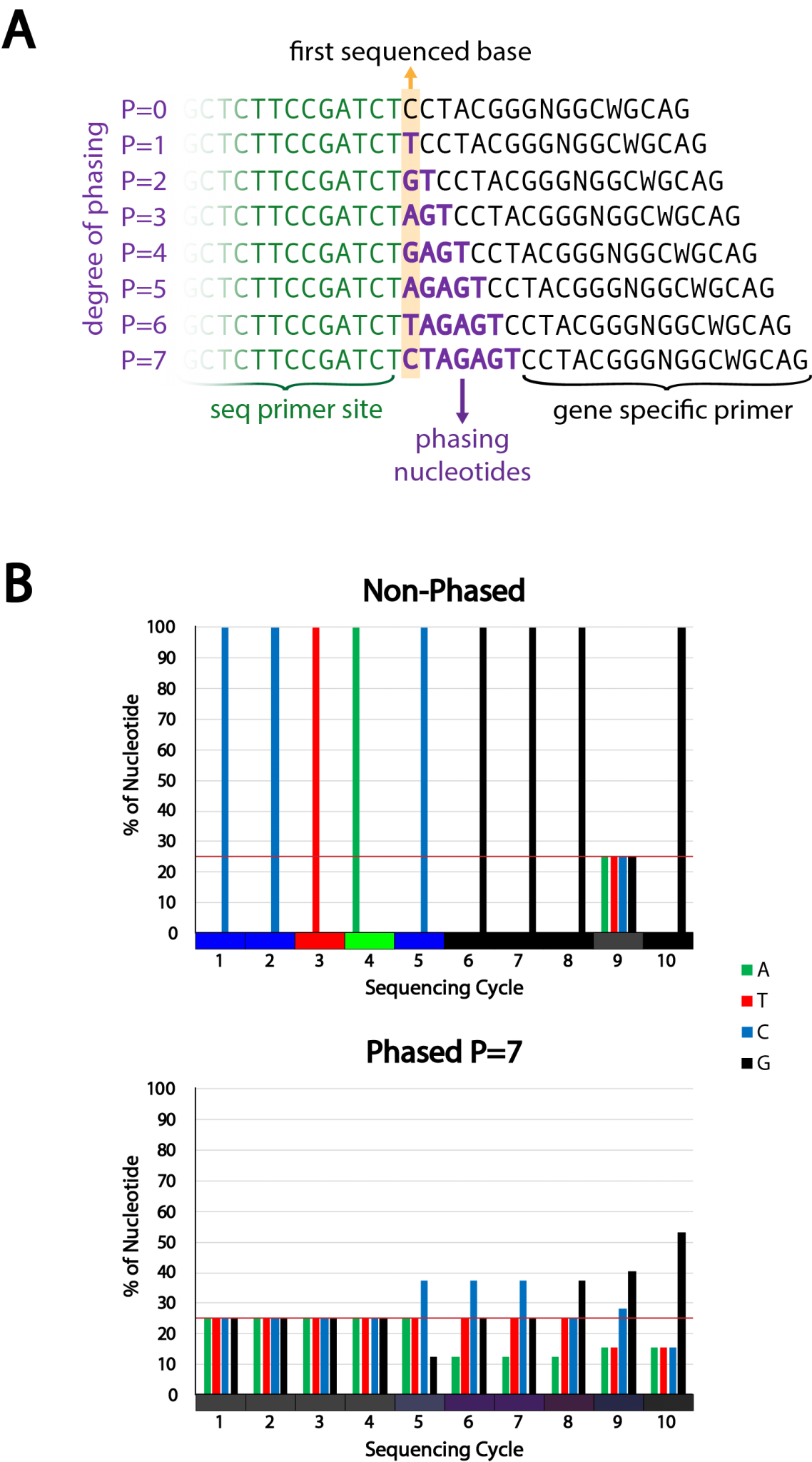 NGI Sweden » Tech Note: Increased Complexity of Amplicon Libraries ...