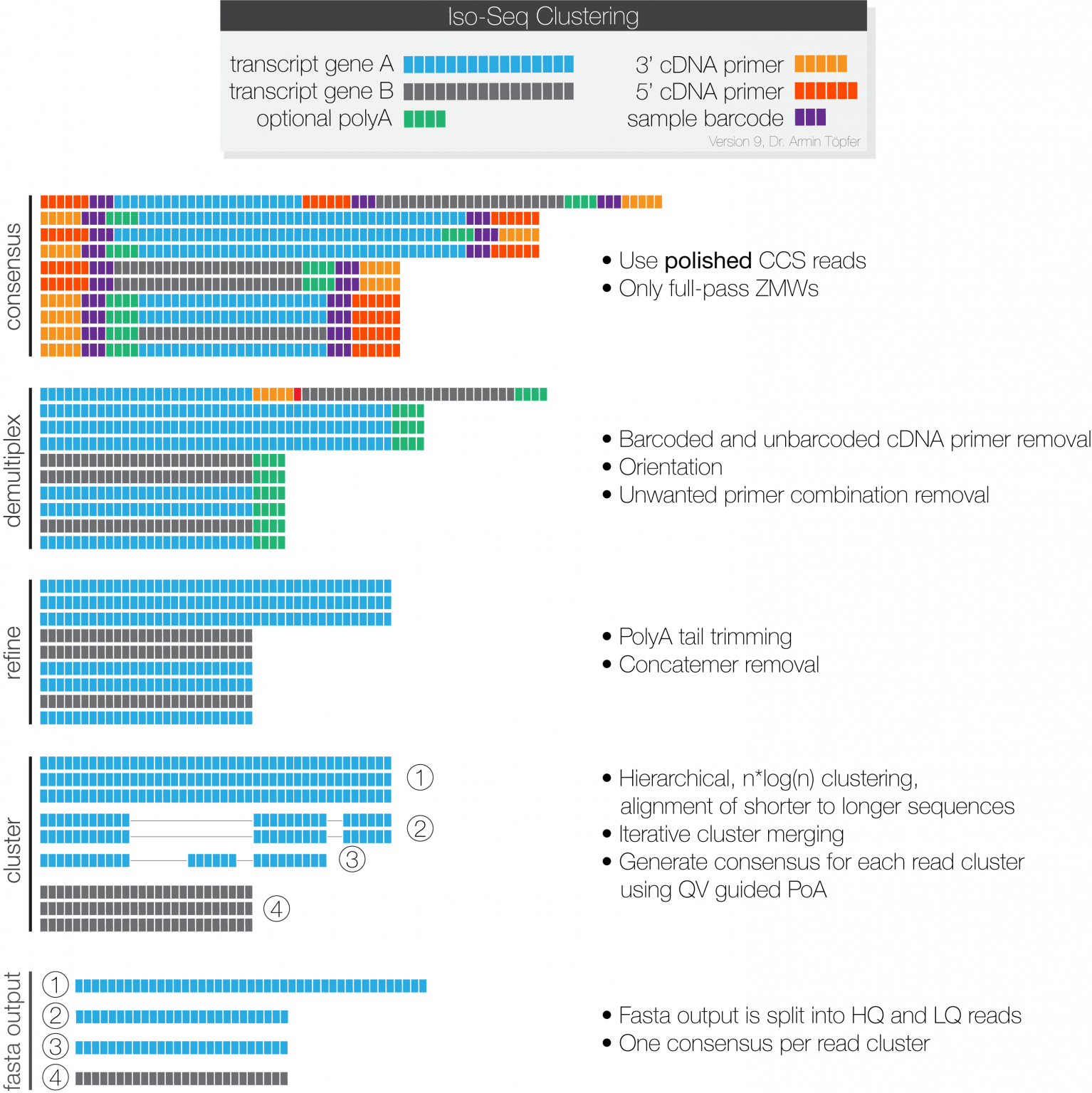 NGI Sweden » PacBio Iso-Seq Analysis