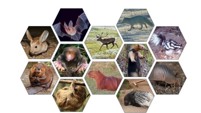 NGI Sweden » NGI involved in a major international research project ...