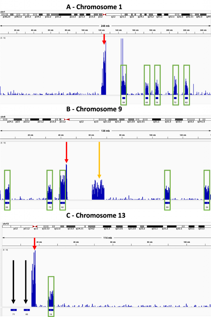 Ngi Sweden Tech Note Adaptive Sampling Targeted Oxford Nanopore Long Read Sequencing