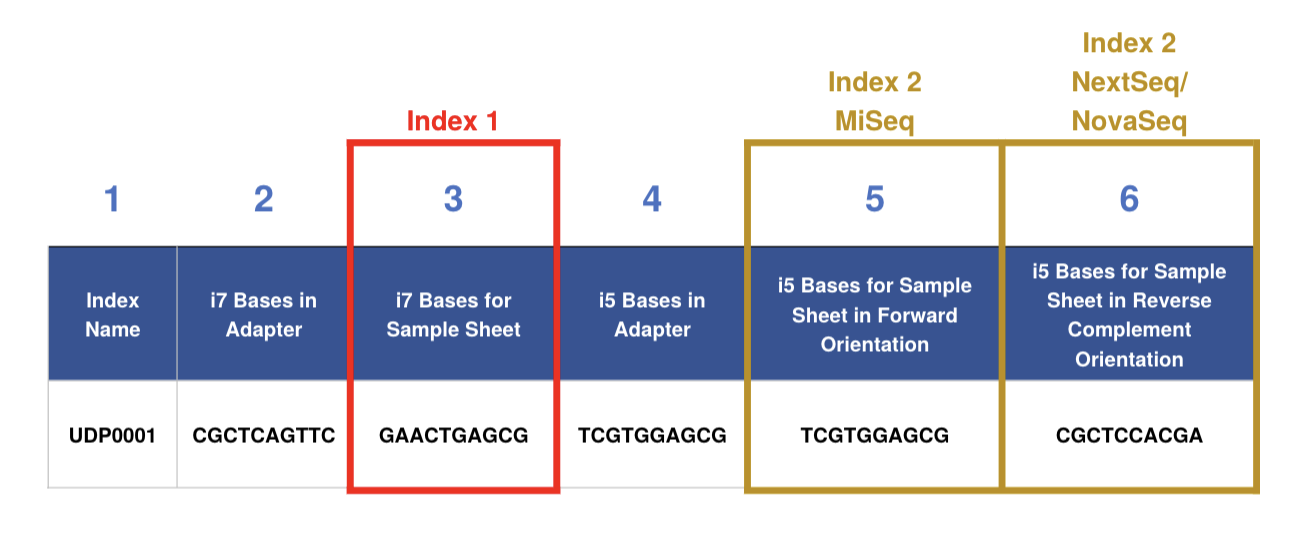 NGI Sweden » Index guidelines for Illumina sequencing