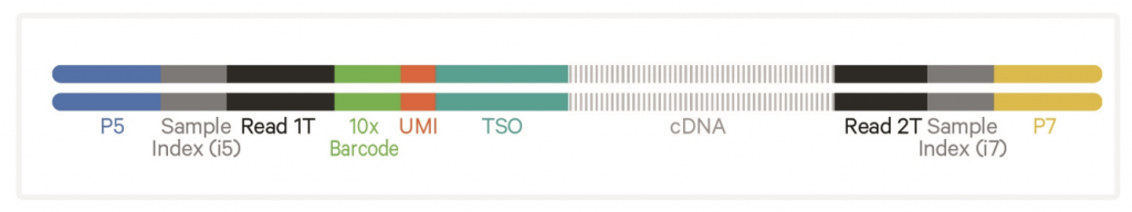 NGI Sweden » 10X Genomics Universal 3’ /5’ Gene Expression (GEM-X or ...