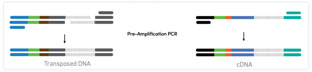 NGI Sweden » 10X Genomics Epi Multiome ATAC + Gene Expression