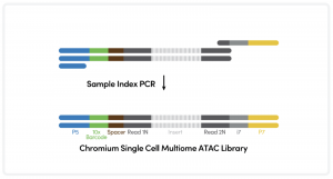 NGI Sweden » 10X Genomics Epi Multiome ATAC + Gene Expression