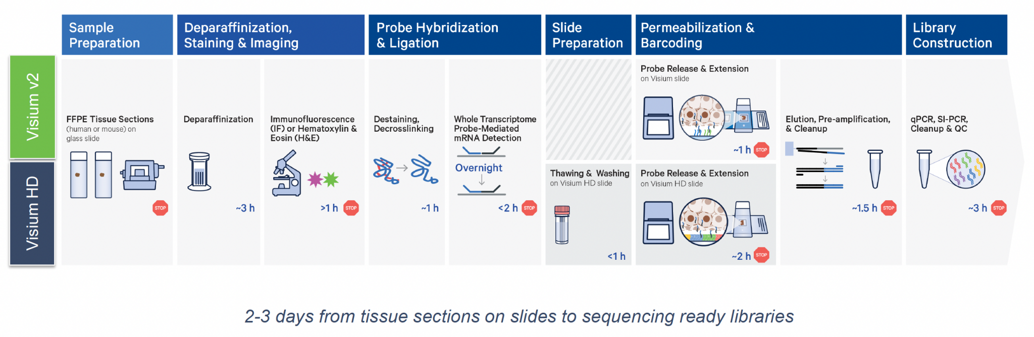 NGI Sweden » Visium HD – Probe-based – FFPE samples