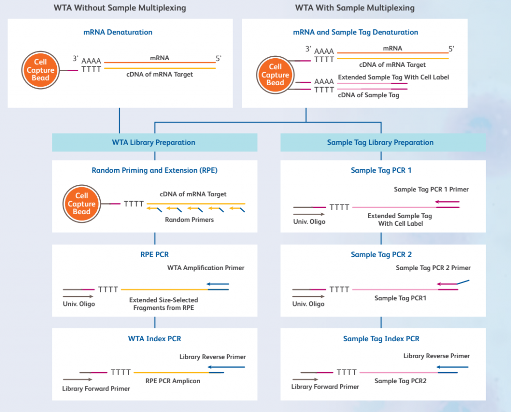 NGI Sweden » Single-Cell Multiomics with BD Rhapsody HT Express